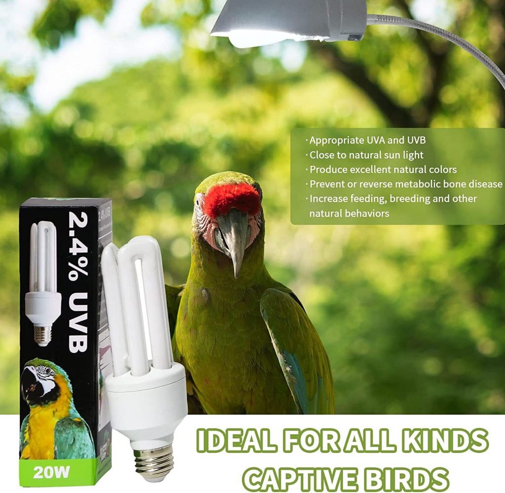 UVB Flourescent Lamp Aviaries - Madee's Pet Supplies