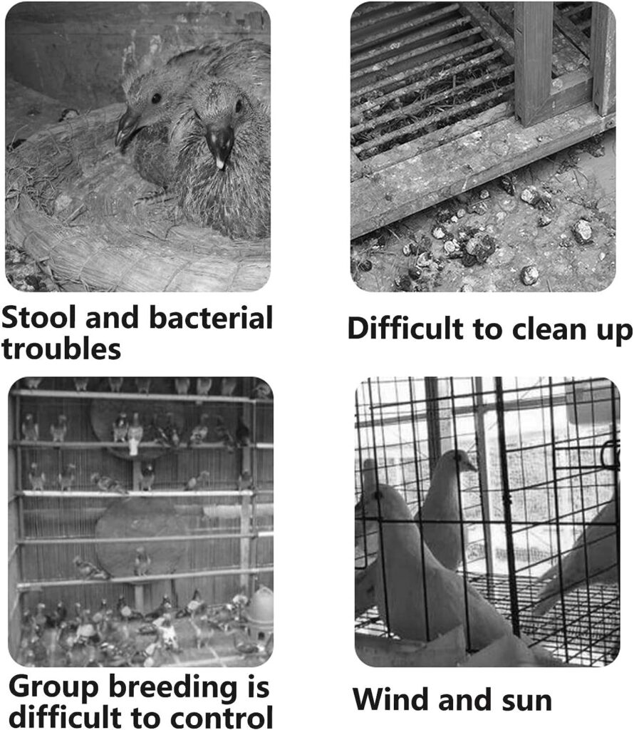Pigeon Cage Breeding Cage for Pigeon Pairing Cage - Madee's Pet Supplies